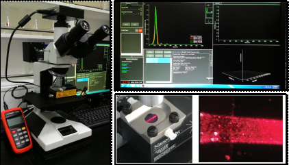 奈米粒子追蹤分析儀 Nanoparticle Tracking Analysis